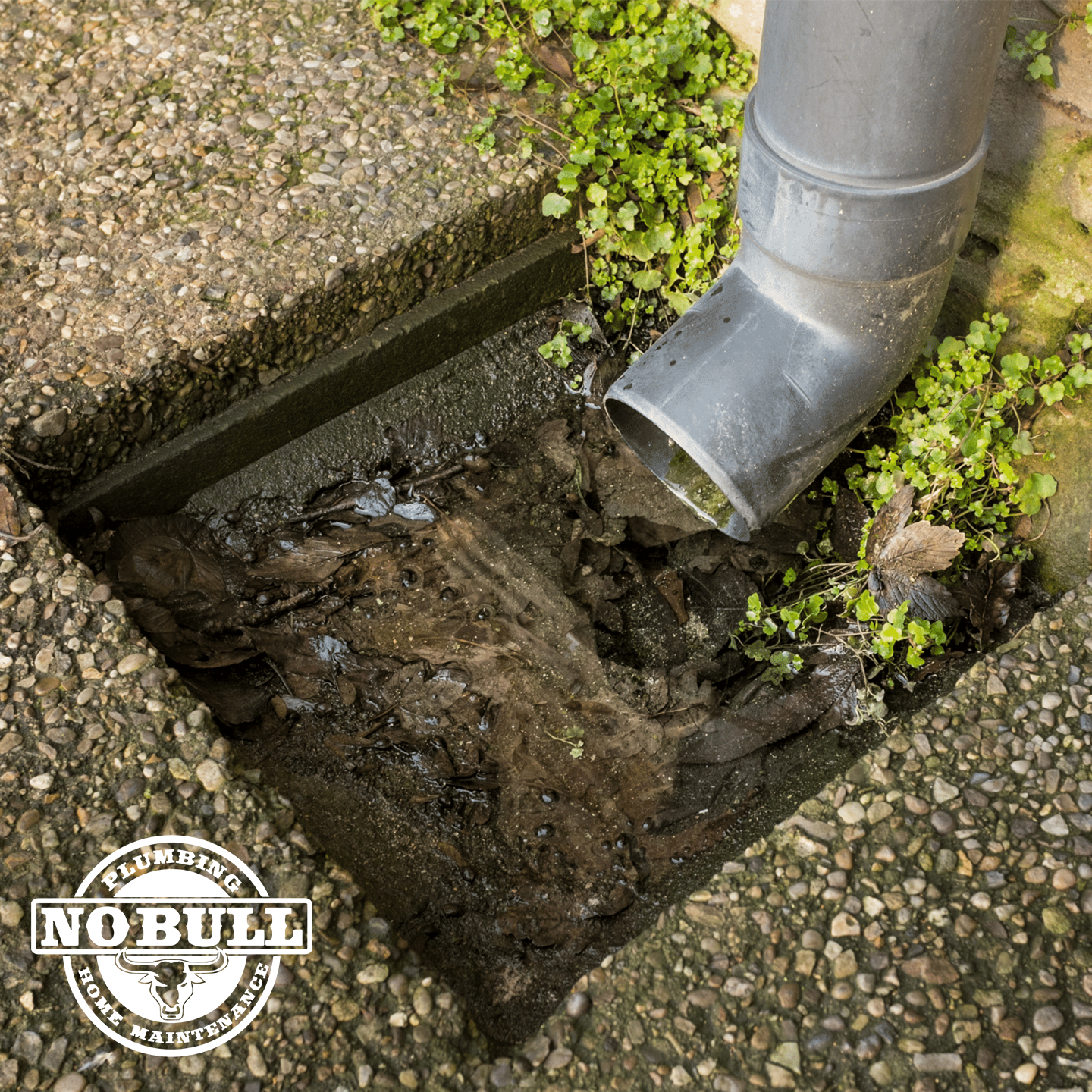 Blocked Drains – No Bull Plumbing & Home Maintenance