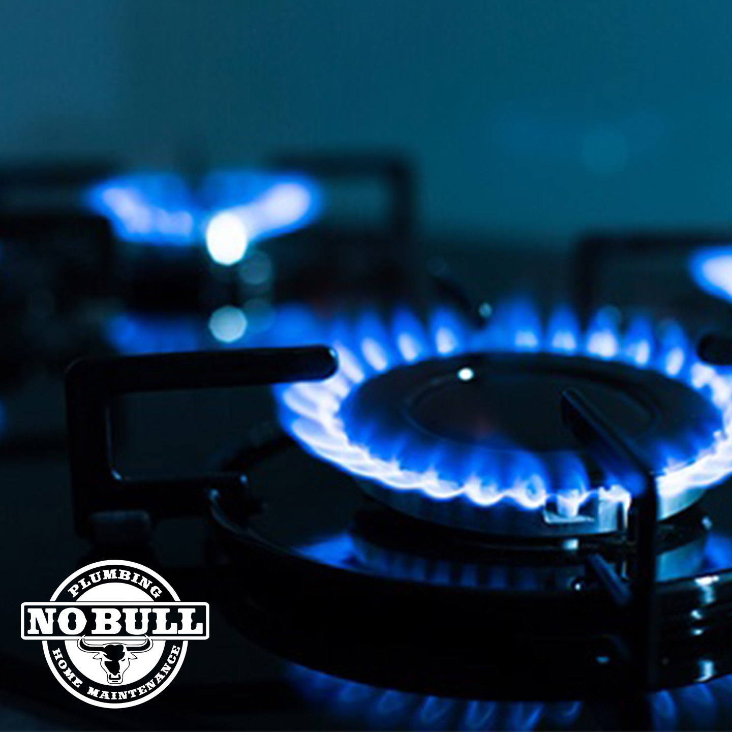 Gas Repairs – No Bull Plumbing & Home Maintenance